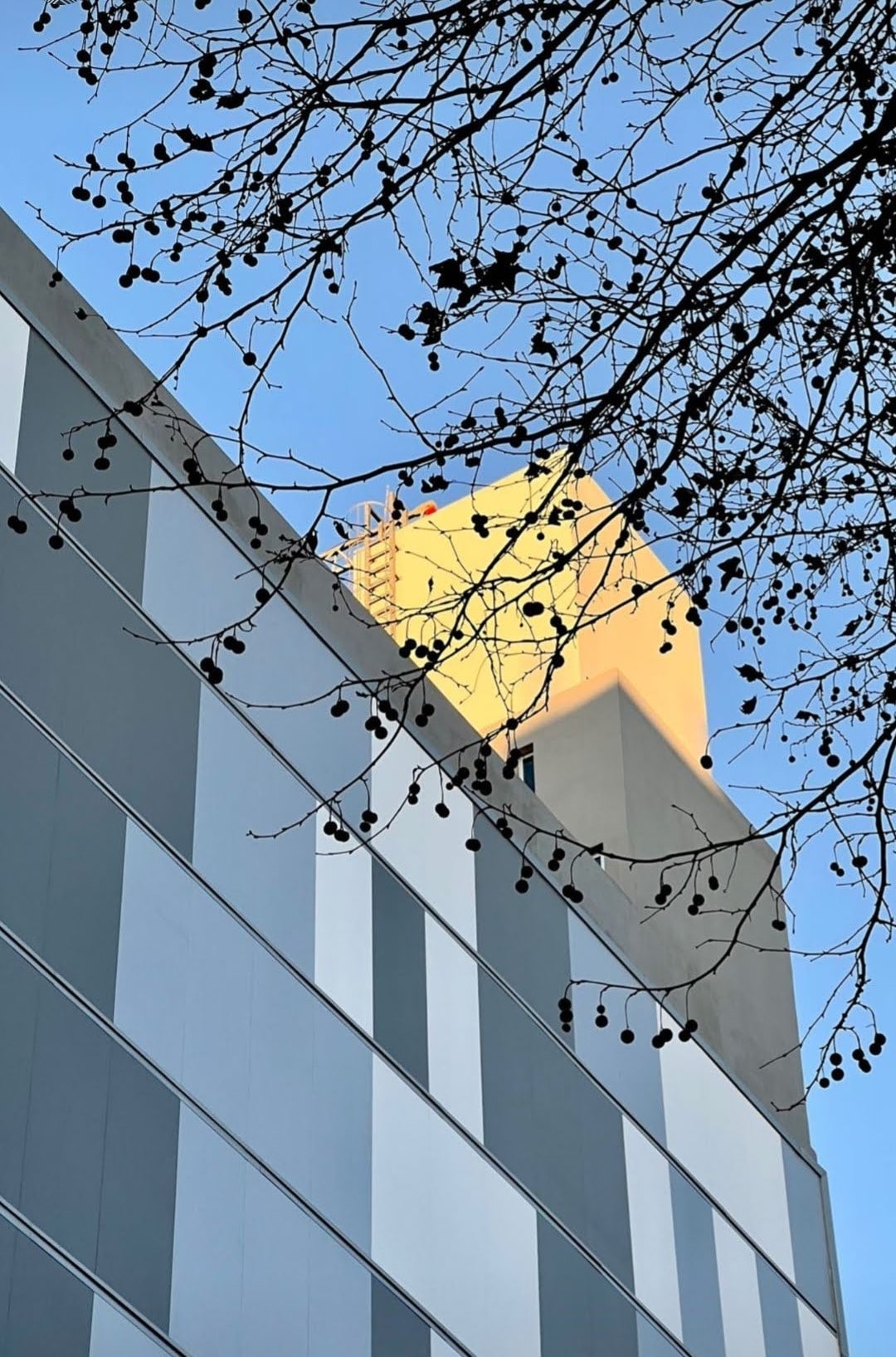 EDIFICIO MCM- en obra - SABYL